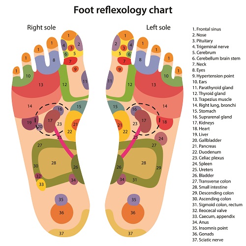The amazing benefits of a Reflexology treatment – The Magic Roundabout
